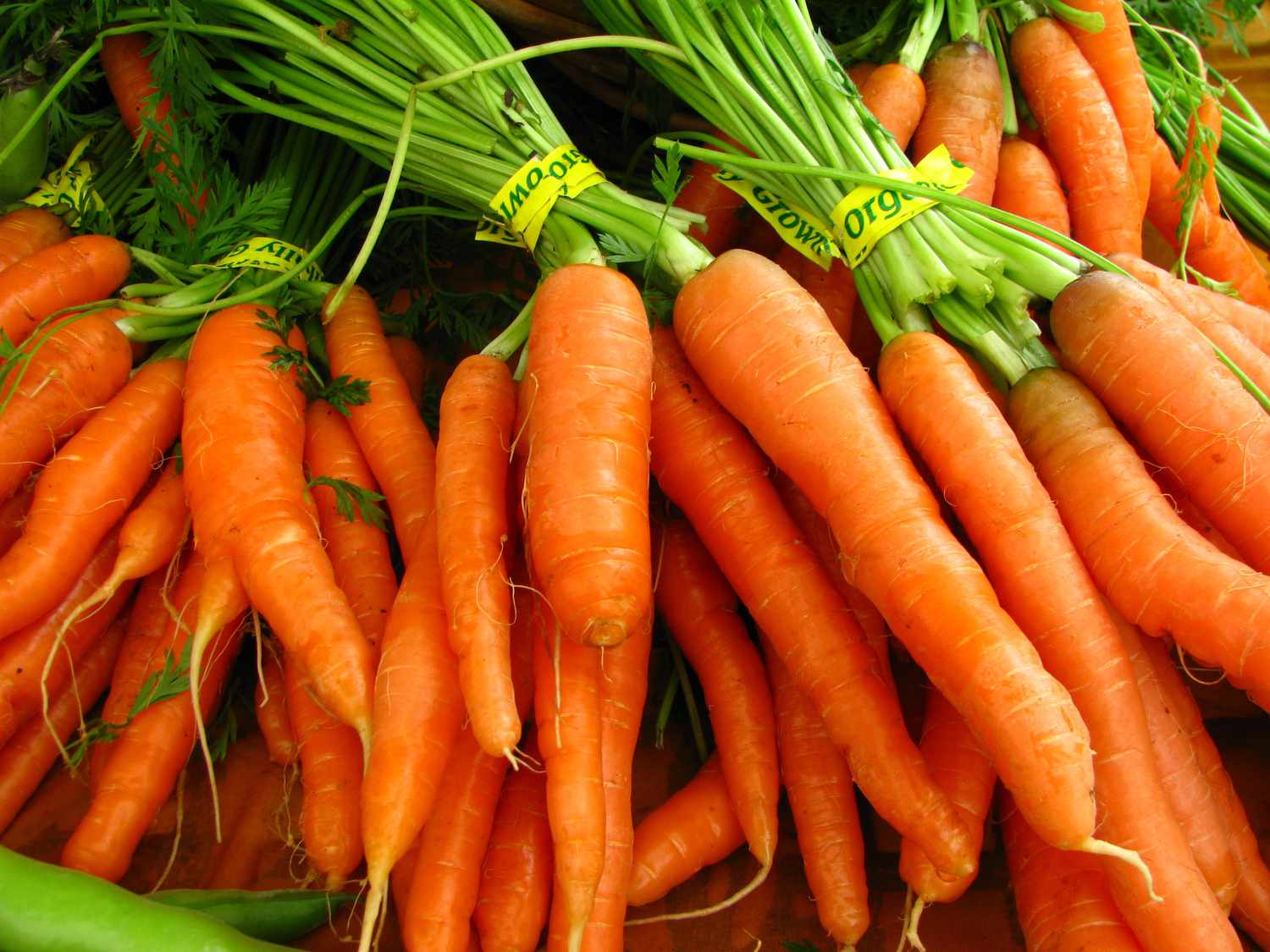 La méthode unique pour conserver les carottes, d'après un expert